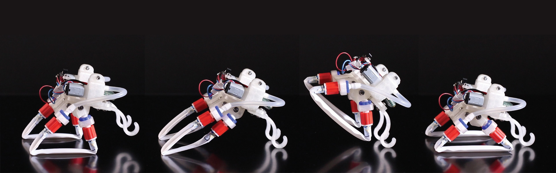 AMOLF’s soft robot thinks with its own limbs